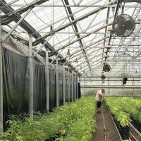 China Black Curtain Small Automatic Blackout Greenhouse Adjustable Light for sale