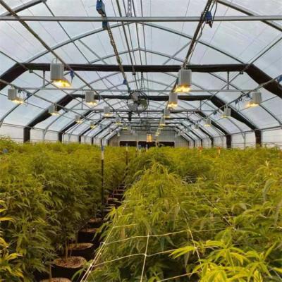 China Automatic 100% Blackout Medical Growing Single Span Light Deprivation Greenhouse With Blackout System for sale