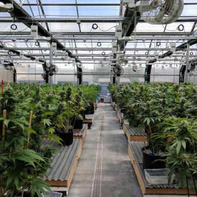 China 100% Shading PE Automatic Blackout Greenhouse Light Dep For Herb Growing for sale