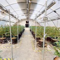 China Single Span Blackout Shading Light Deprivation Greenhouse 10-100M for sale