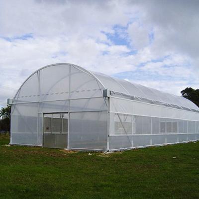 China 150 micro PE Film Greenhouse Ebb And Flow Rolling Bench Seedbed Greenhouse With Grow Tables for sale