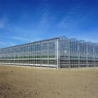 China Hydroponic System Vegetable Venlo Glass Greenhouse Fully Automated Ventilation for sale