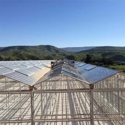 China Multi-Span 4 Sunroom Tempered Venlo Glass Greenhouse Fully Automated Ventilation for sale