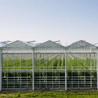 China 8mm Float Glass Multi Span Venlo Glass Greenhouse Top Heigh 4.5m-7.5m for sale