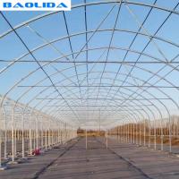 China Green House Metal Frame Fruits With Ventilated PC Board Design Tunnel Greenhouse for sale