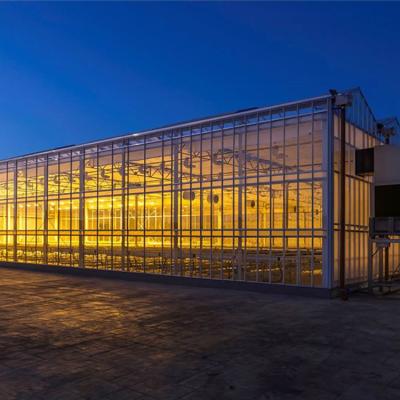 China Venlo Glass Greenhouse Customizable Size 85km/h Wind Resistance for sale