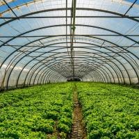 China Hot Galvanized Steel Structure Greenhouse Kits with Plastic Film and Shade Net Cover Material and 1.5m-1.8m Shoulder Height for sale