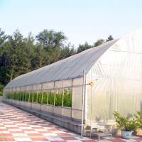 China Metal Frame Tunnel Greenhouse With Ventilated Serre Agricole Plant Tunnel Greenhouse for sale