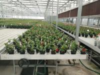 China Aluminum Alloy ABS Clip On Bench Side Profile Greenhouse Rolling Tables W × L 4 × 8 for sale