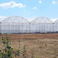 China Year Round Nursery Hothouse Automated Dome Modular Multispan Tunnel Greenhouse for sale