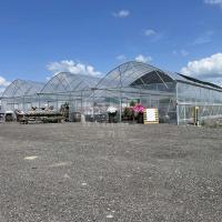 China Greenhouse Frame Structure 200 micro PE Film Ventilated Serre Agricole Hoop House Greenhouse for sale