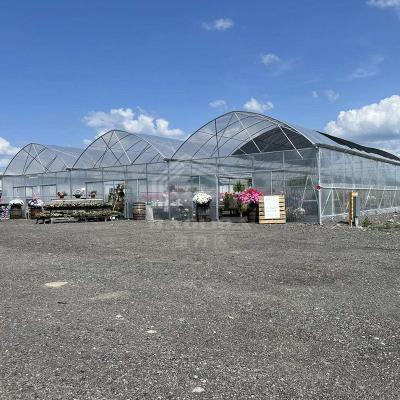 China Greenhouse Frame Structure 200 micro PE Film Ventilated Serre Agricole Hoop House Greenhouse for sale