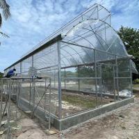 China Metal Frame Covered Outdoor 6x15m Agricultural Commercial Green House Umbrella Roof Vent Greenhouse With Ventilation for sale