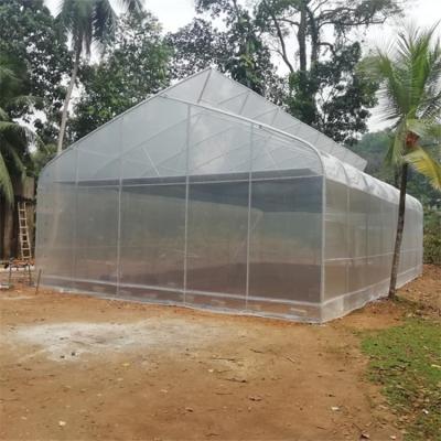 China Cheap Good Price Plastic Film Tropical Tunnel House Single-Span Sawtooth Top Vent Greenhouse For Sale for sale