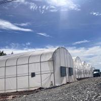 China High Tunnel Single Span Tomato Hydroponic System Low Cost Plastic Greenhouse Agriculture for sale