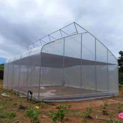 China Single-span Film Tunnel Top Vent Greenhouse Sri Lanka Greenhouse Prefabricated for sale
