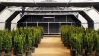 China Light Deprivation Greenhouse Dimensions Mushroom Herb Grow Shading Dep Greenhouse for sale