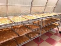 China Solar Dryer Polytunnel Agricultural Greenhouse Drying Greenhouse With PC Board For Vegetables, Herbs for sale