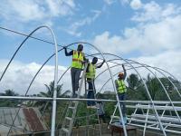 China Greenhouse Polycarbonate Green House Metal Frame Fruits With Ventilated PC Board for sale