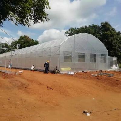 China Light Transmittance Easy Assembly Greenhouse with 40*1.5mm Arch Rod for sale