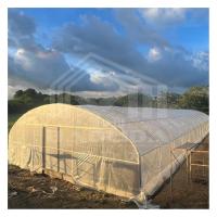 China Affordable 6x15m PE Film Tunnel Greenhouse for Farming Applications for sale