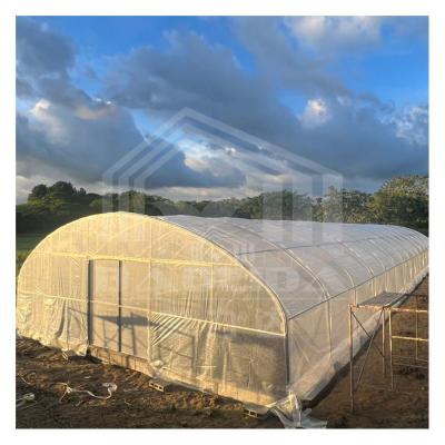 China Affordable 6x15m PE Film Tunnel Greenhouse for Farming Applications for sale