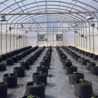 China Hot Galvanized Steel Structure Tunnel Greenhouse For All-Season Farming Solutions for sale