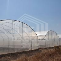 China Easy Installation Customized Tunnel Greenhouse with Hot Galvanized Steel Structure and PE Film for sale