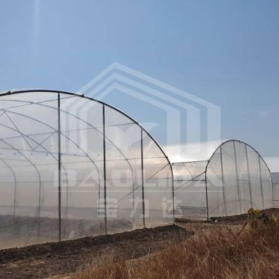 China Easy Installation Customized Tunnel Greenhouse with Hot Galvanized Steel Structure and PE Film for sale