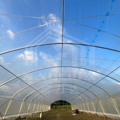 China 1.5 Meter Arch Rod Distance Agricultural Greenhouses for Superior Farming Efficiency for sale