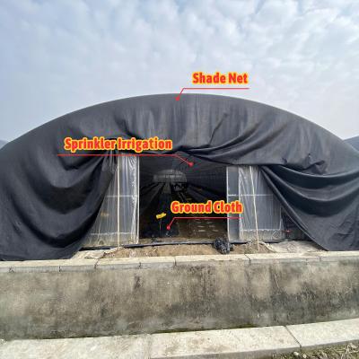 China Galvanized Steel Frame Mushroom Growing Shade Net Greenhouse for Agricultural Cultivation for sale