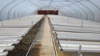 China Greenhouse 200 micro PE Film Growing House Ventilated Serre Agricole Polytunnel Greenhouse for sale
