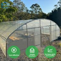 China PE Film Greenhouse Frame Structure Ventilated Serre Agricole Greenhouse for sale