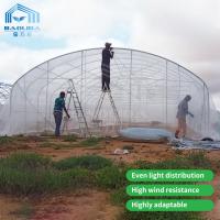China Baolida Tunnel Greenhouse Metal Frame Serre Agricole Plant Single Agricultural  Greenhouse for sale