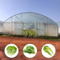 China Serre Tropical Greenhouse for Sale Serre Agricole Film Greenhouse for sale