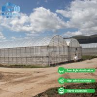 China Baolida Polycarbonate Greenhouse Metal Frame Serre Agricole Agricultural Greenhouse Film for sale