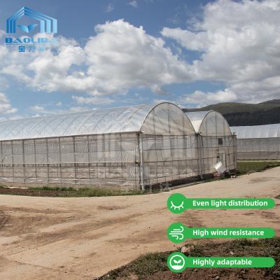 China Baolida Polycarbonate Greenhouse Metal Frame Serre Agricole Agricultural Greenhouse Film for sale