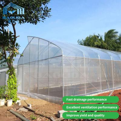 China Baolida Sawtooth Greenhouse Cross Roof Agricultural Greenhouse Serre Agricole for sale