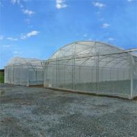 China Baolida 8x12M Tunnel Greenhouse with 2.8m Height for Vegetables for sale