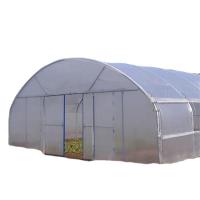 China Baolida 10x50m Tunnel Greenhouse with 4.5m Height and 150 Micron PE Film for sale