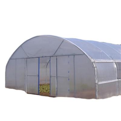 China Baolida 10x50m Tunnel Greenhouse with 4.5m Height and 150 Micron PE Film for sale