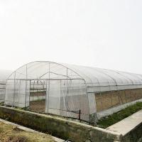 China Baolida 8x12.5m Film Greenhouse with 3.5m Height Galvanized Steel Frame for sale
