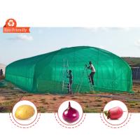 China Single-Span Tunnel Greenhouse 8m Wide with 200 Micron Plastic Film for sale