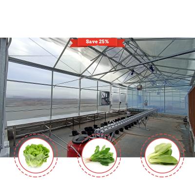 China Galvanized Steel Tunnel Greenhouse 2.6-3.5m Height with 200 Micron Film for sale