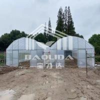 China 8m x 30m Galvanized Steel Single-Span Tunnel Greenhouse with PE Film for sale