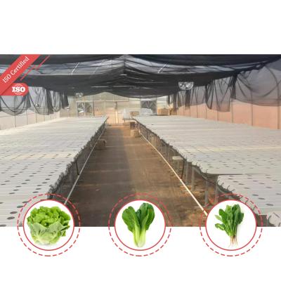 China Single-Span Tunnel Greenhouse 6-10m Width with 150/200micron PE Film for sale