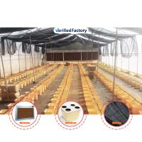 China Single-Span Tunnel Greenhouse 6-10m Width with 150/200micro PE Film for sale