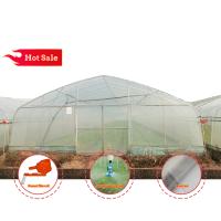 China BAOLIDA Tunnel Greenhouse 8m Width 30m Length PE Film Cover for sale