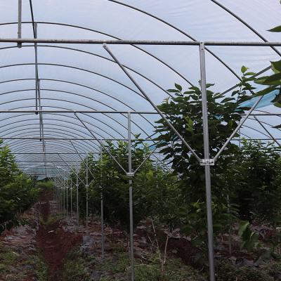 China Large Size Multi-Span Greenhouse with PE Material and Hot Galvanized Steel Frame for Rain Shelter for sale