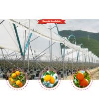China Multi-Span Rain Shelter Greenhouse with Hot Galvanized Steel Frame PE Film Covering and Customizable Size for sale